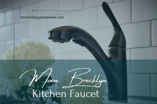 Moen Brecklyn Kitchen Faucet | Best Pull Out Faucet for USA